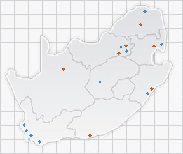 The South African Air Force